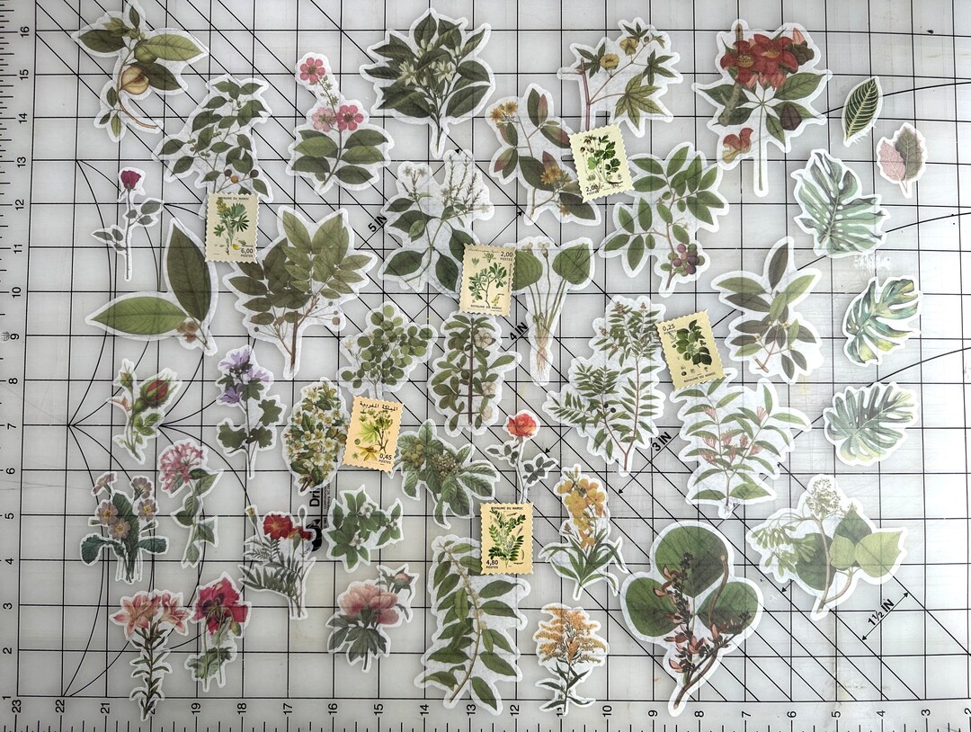 Assorted Green Botanical Stickers / 46 Pc - Etsy