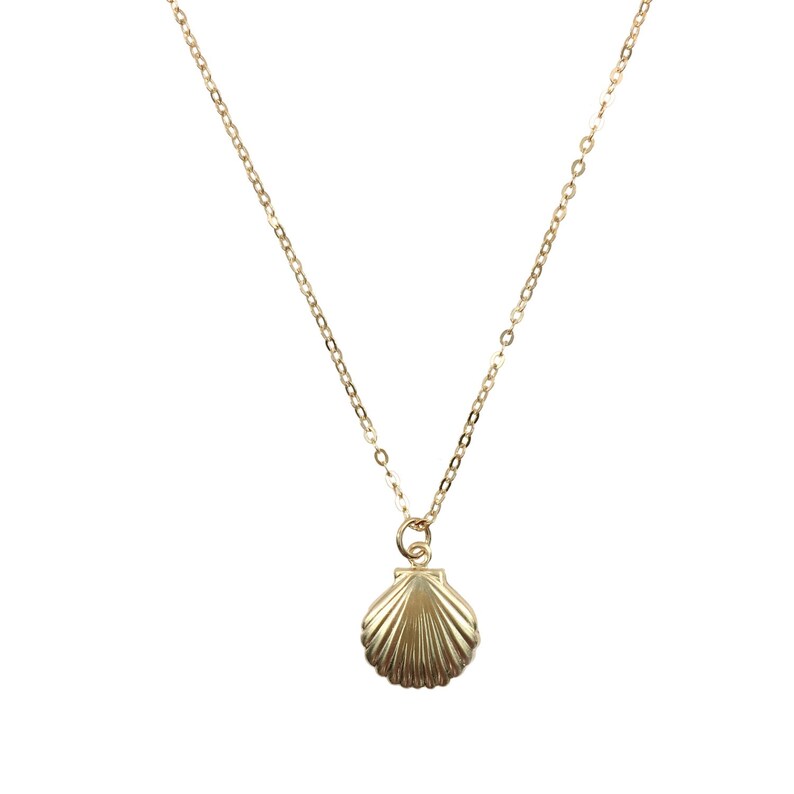 Petite Shell Charm Necklace Simple Gold Necklace Shell - Etsy