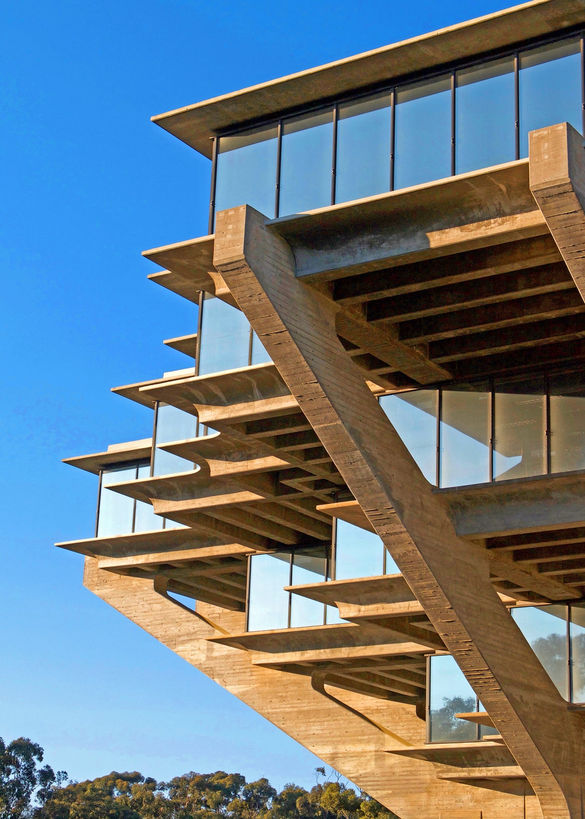 Theodore Geisel Library Building Color Photograph University of ...