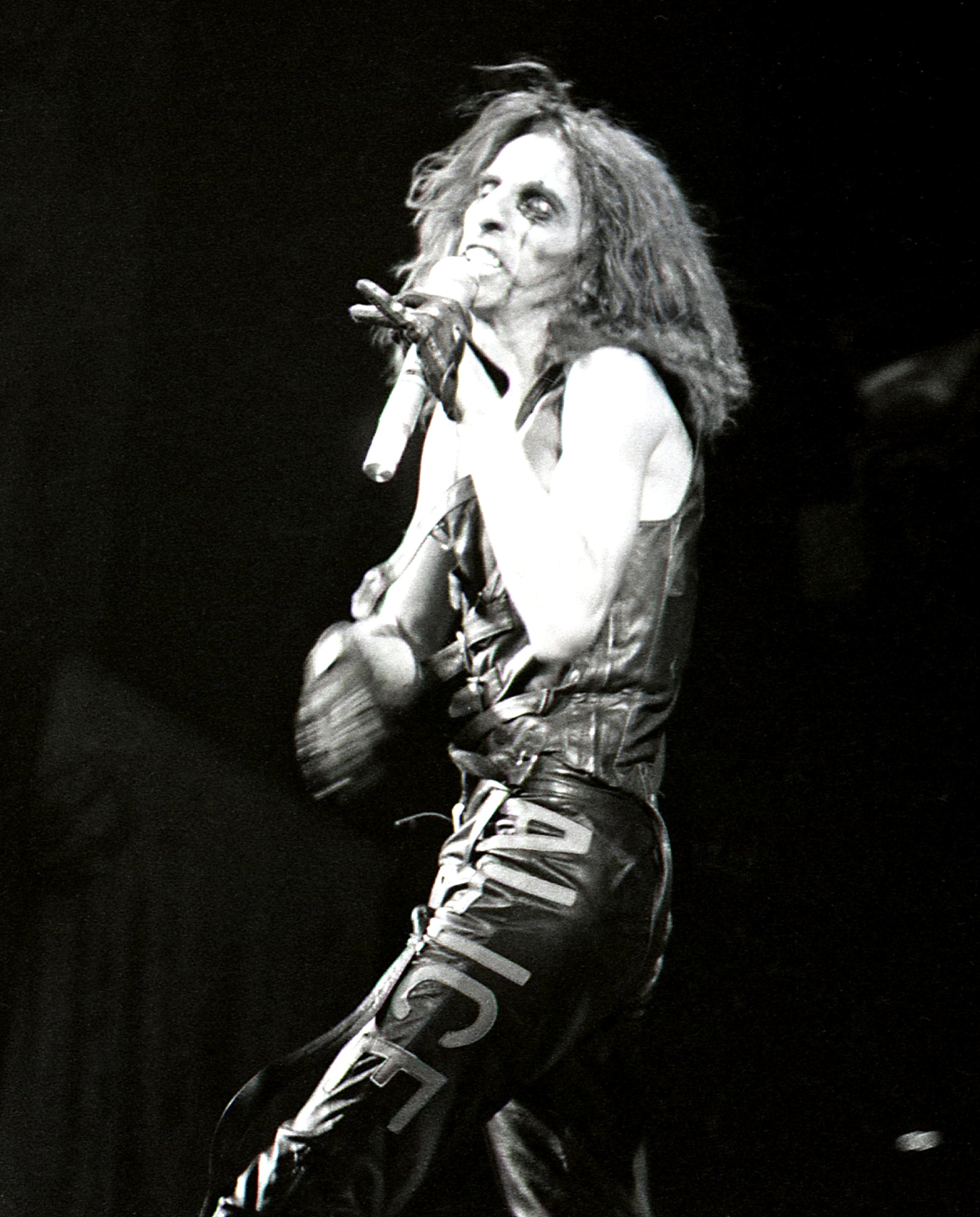 Alice Cooper Concert Photograph 1979 From the Inside Tour Met Center ...