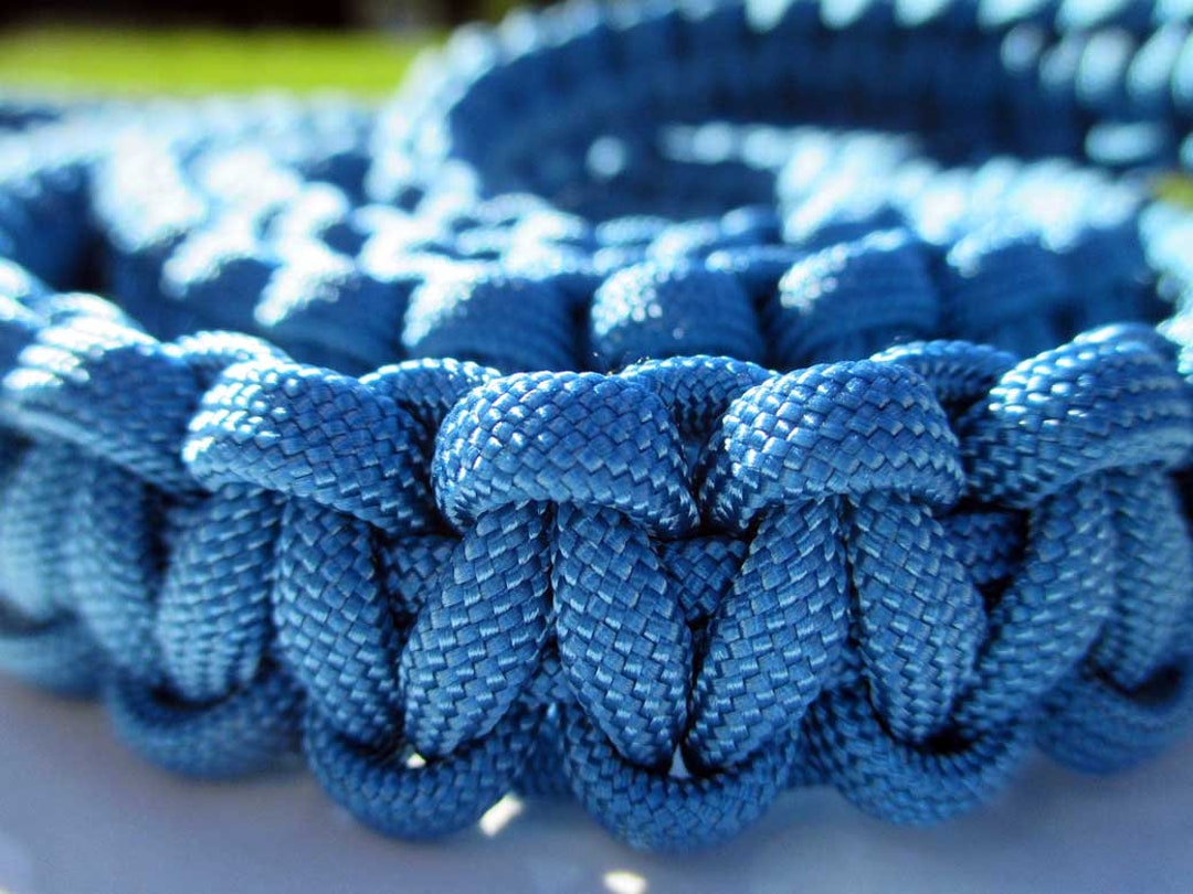 Denim Paracord Halter and 6' Lead - Etsy