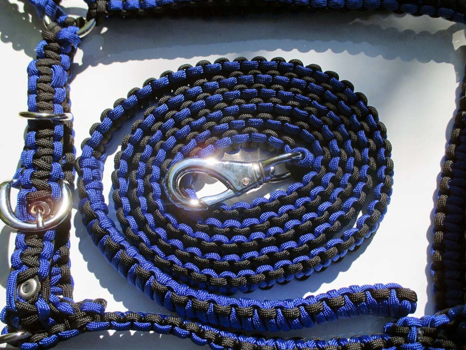 Black and Blue Paracord Halter and 6' Lead - Etsy