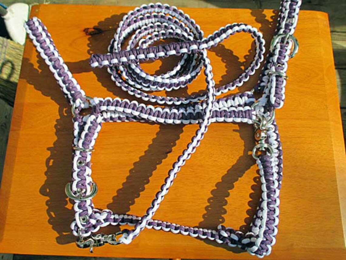 Paracord Halter and 6' Lead Purple and White - Etsy