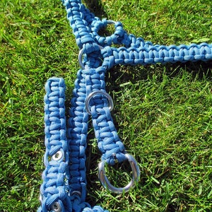 Denim Paracord Halter and 6' Lead - Etsy