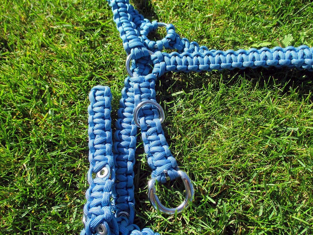Denim Paracord Halter and 6' Lead - Etsy