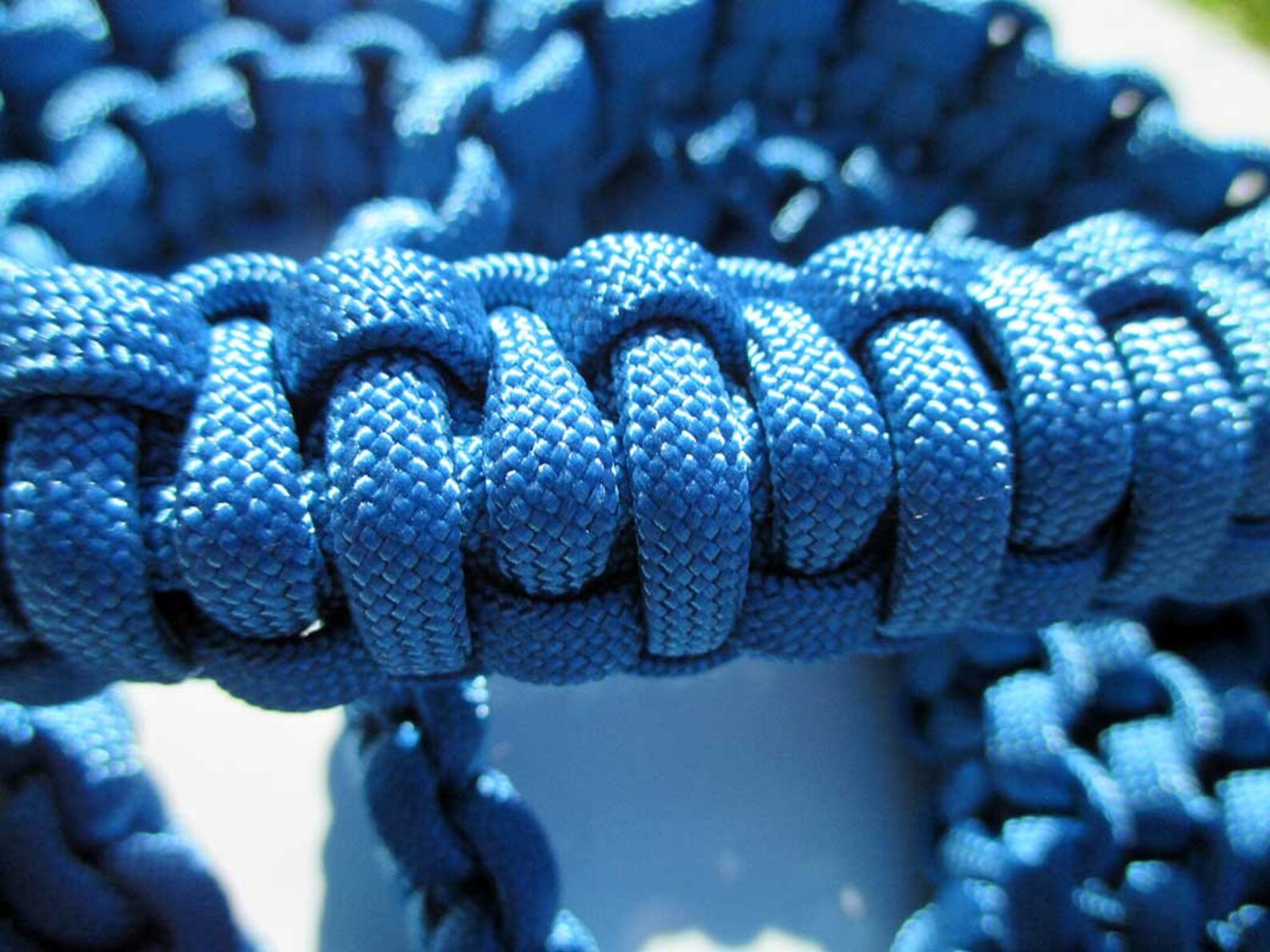 Denim Paracord Halter and 6' Lead - Etsy