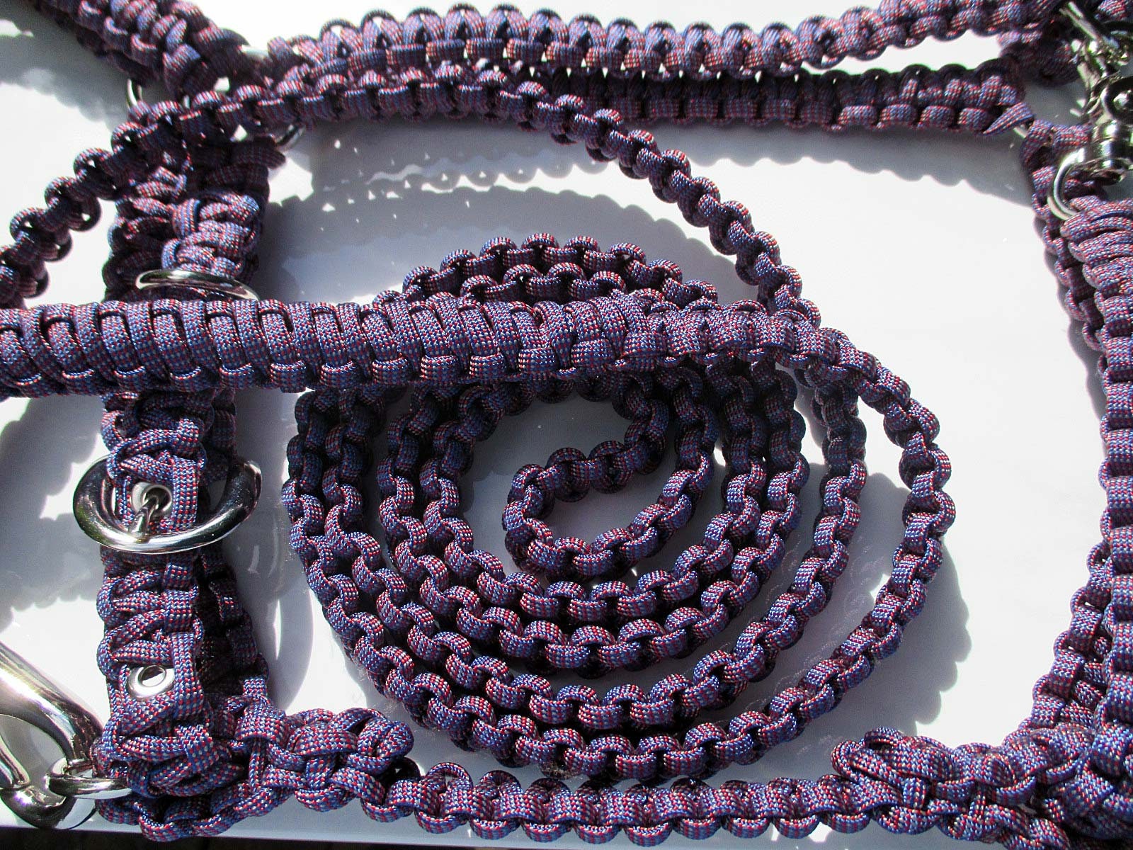 Prism Iridescent Paracord Halter and 6' Lead - Etsy