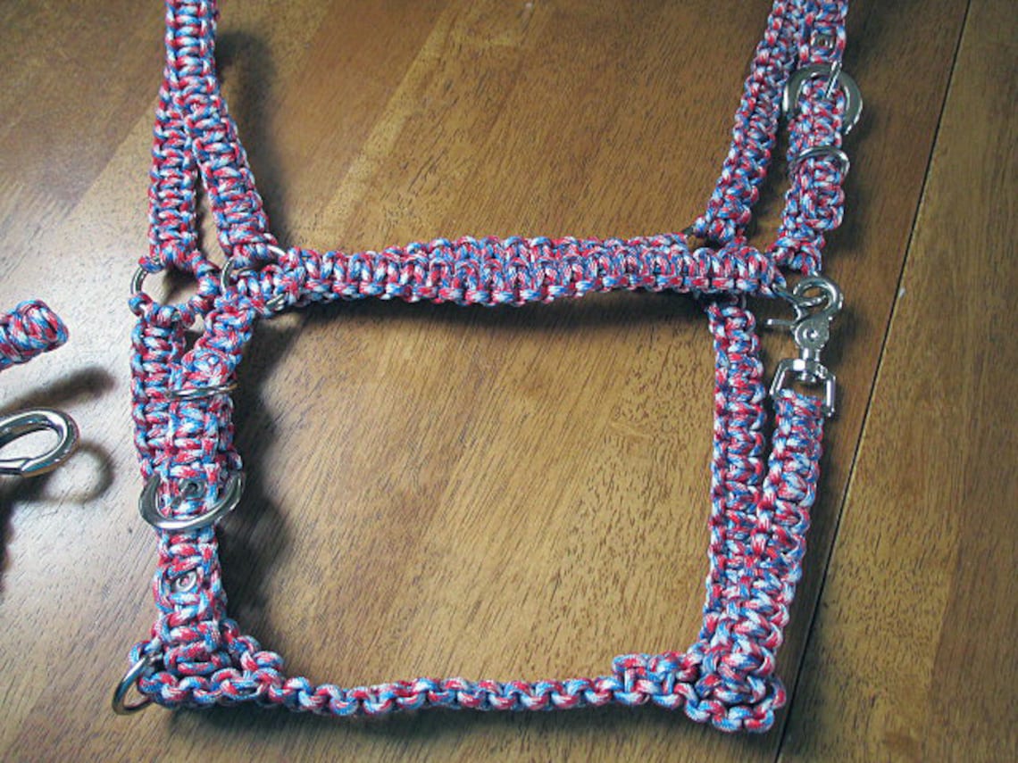 Halter Liberty Paracord Matching Handmade Halter and 6' Lead - Etsy