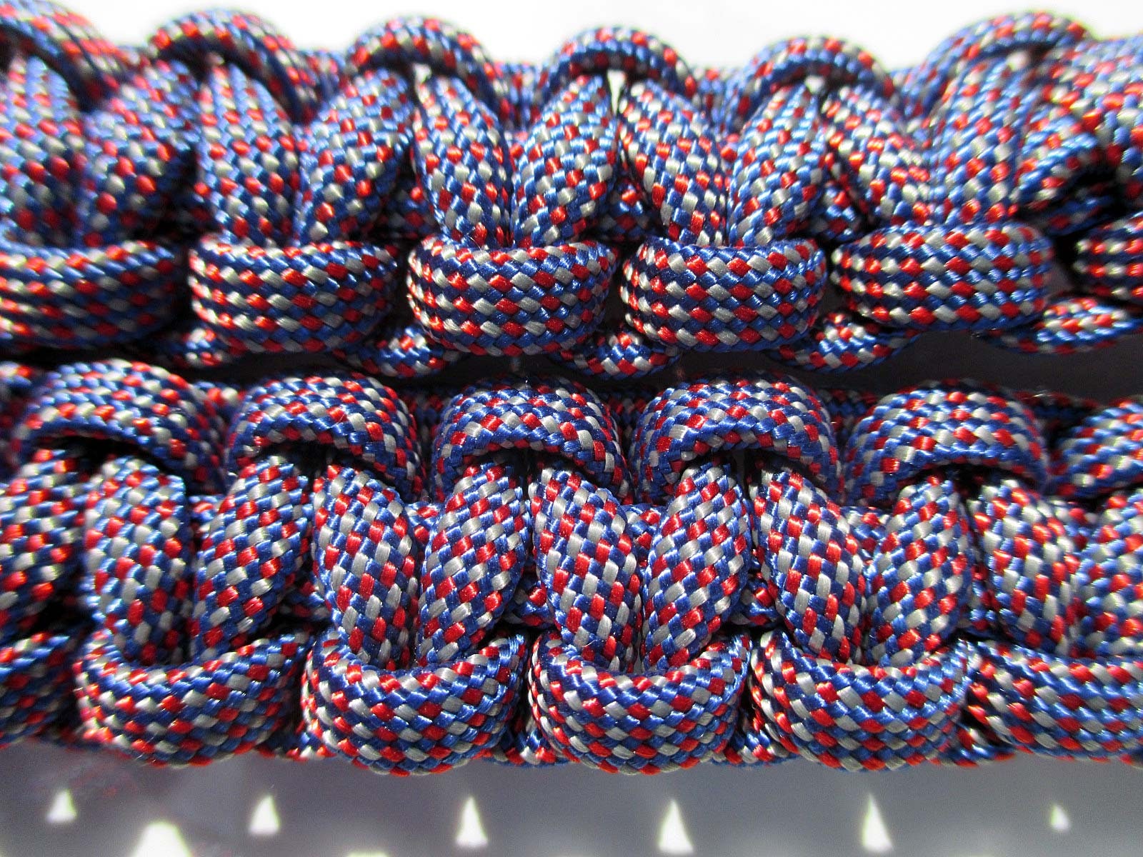 Prism Iridescent Paracord Halter and 6' Lead - Etsy