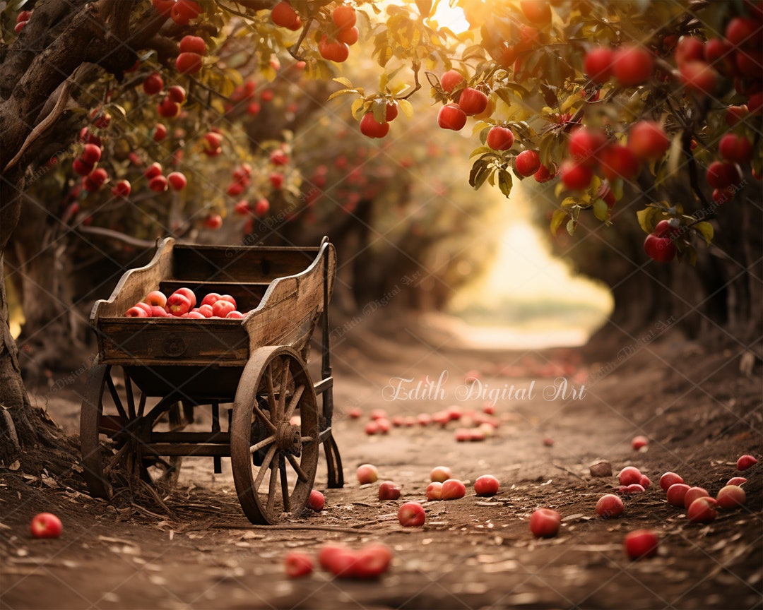 Fall Digital Backdrop Photography, Autumn Background Digital, Apple ...