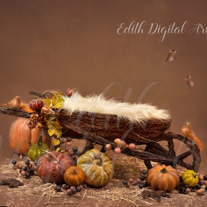 Newborn Digital Background, 4 Fall Backdrop Photography Composite ...