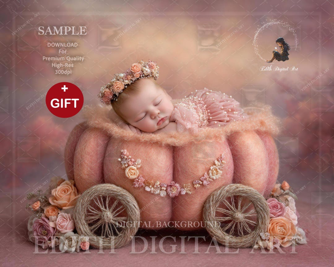 Newborn Digital Backdrop, Felt Princess Pumpking Carriage, Studio ...