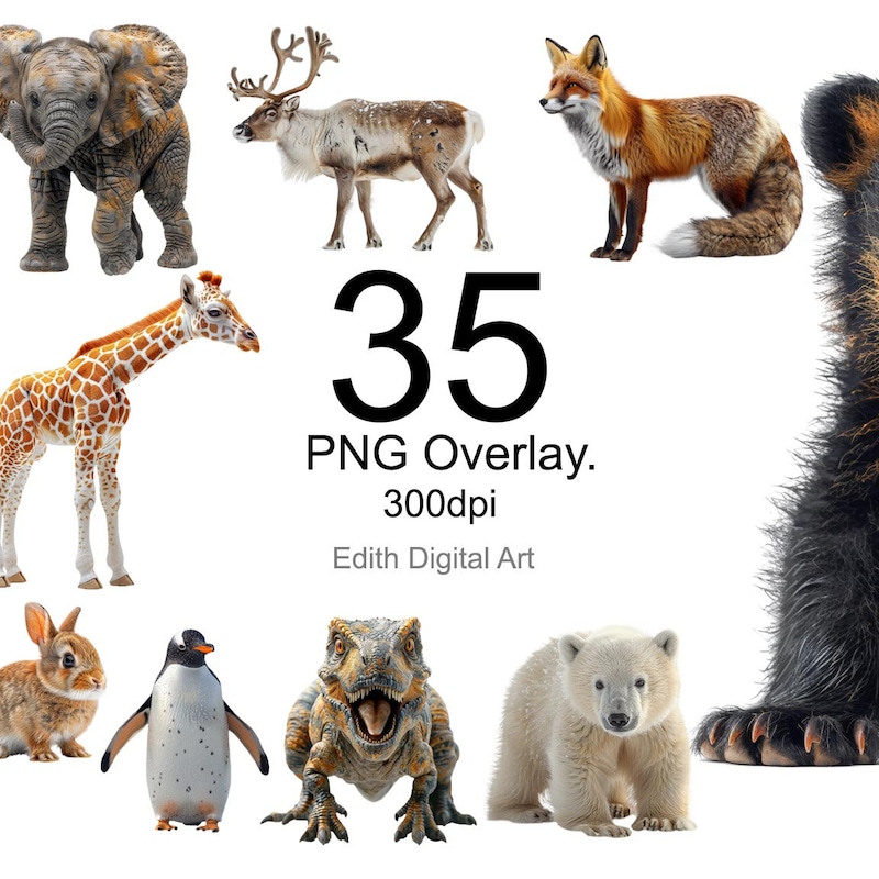 Animal Overlays - Etsy