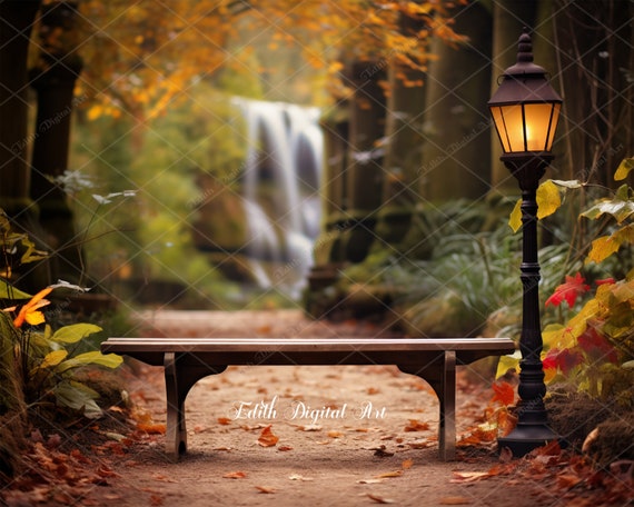 Photoshoot background store