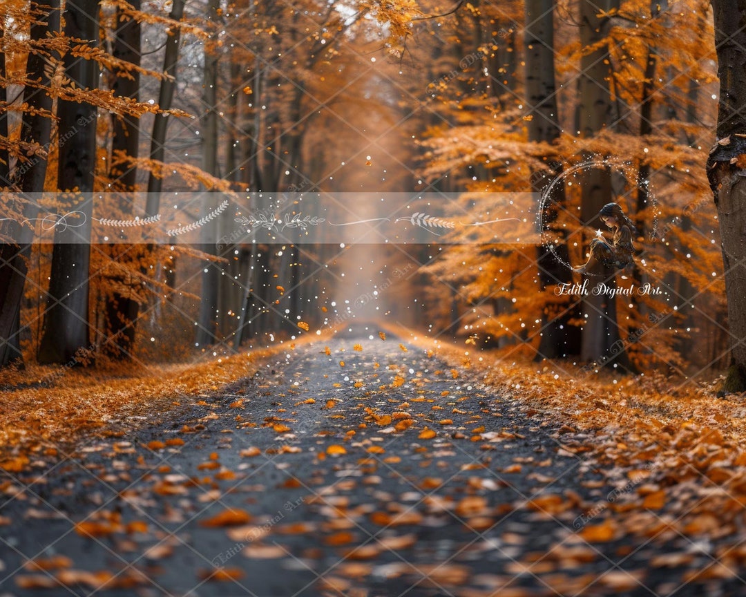 Fall Road Digital Backdrop Photography, Autumn Trails Digital Download ...