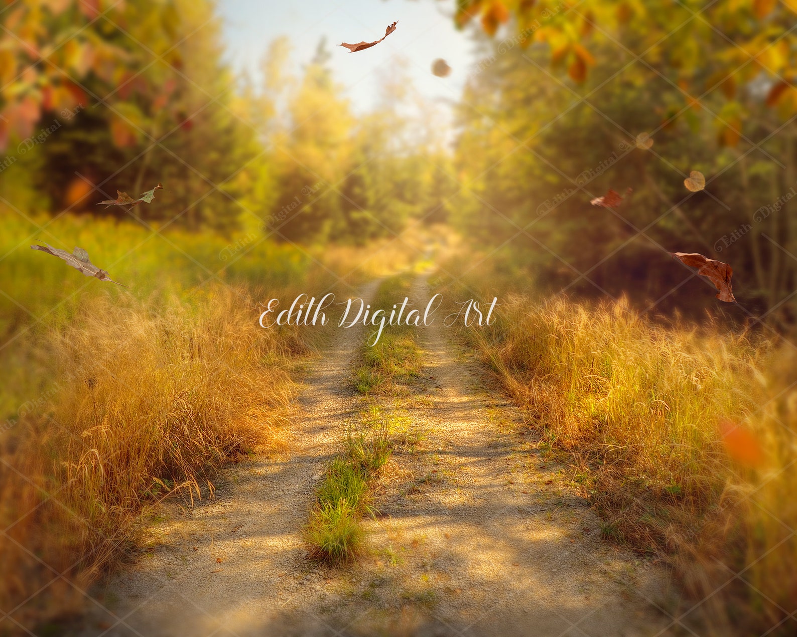 Fall Digital Background Autumn Forest Road Backdrop - Etsy