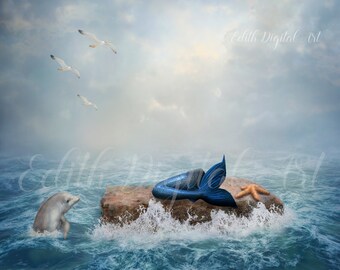 Dolphin in Ocean Digital Backdrop Mermaid in Rock Background | Etsy