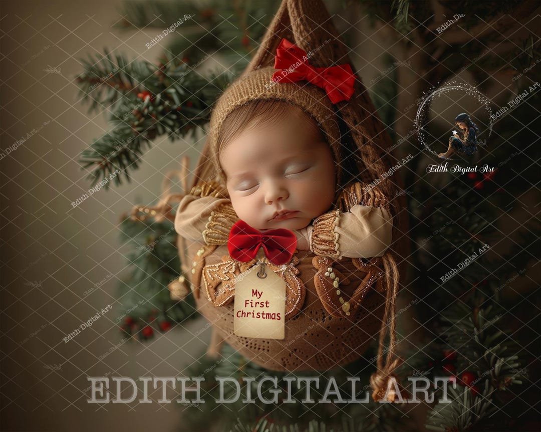 Newborn Christmas Digital Backdrop, Newborn Photography Composite ...
