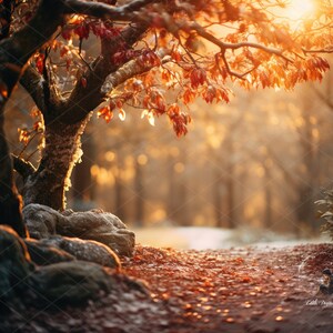 Autumn Digital Backdrop, Fall Backdrop Pathway Photography Composite ...