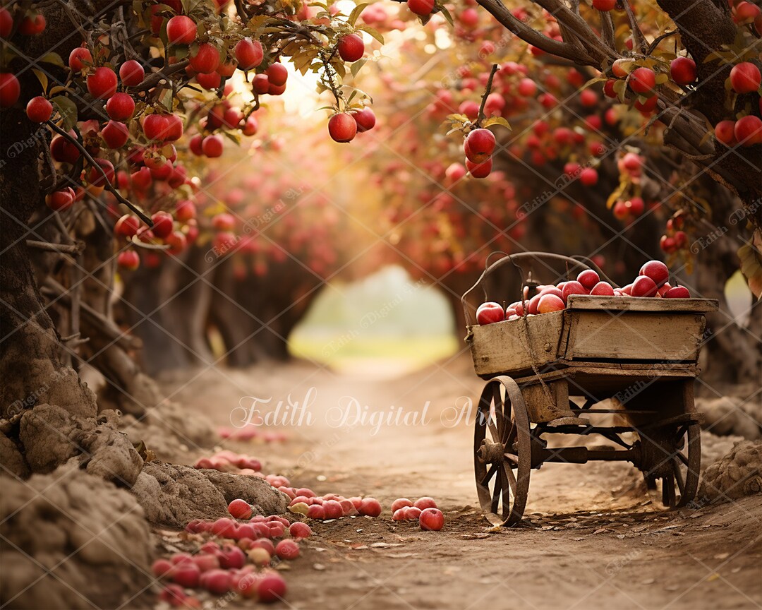 Fall Digital Backdrop Photography, Autumn Background Digital, Apple ...