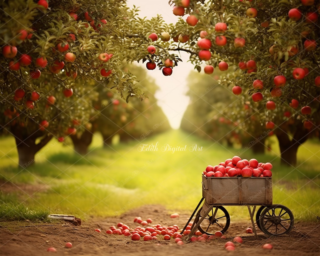 Fall Digital Backdrop Photography, Autumn Background Digital, Apple ...