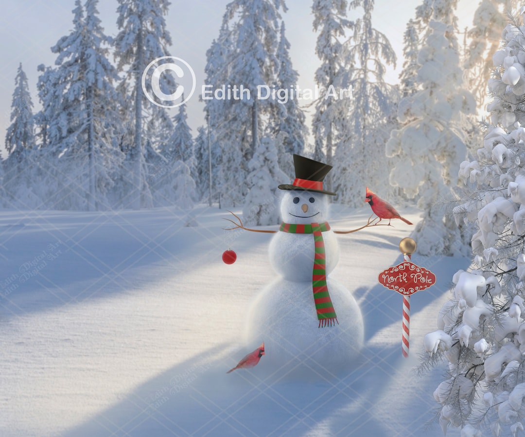 Digital Christmas Backdrop Snowman Digital Background for Kids, Snow ...