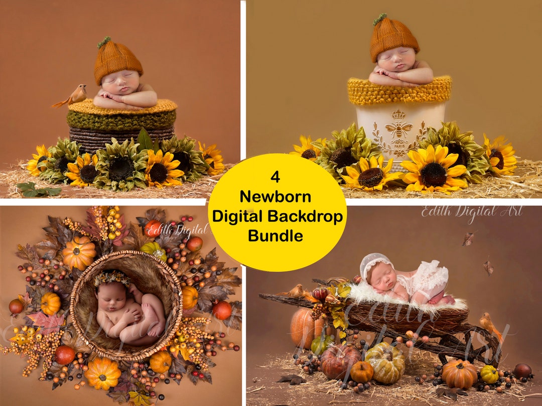 Newborn Digital Background, 4 Fall Backdrop Photography Composite ...