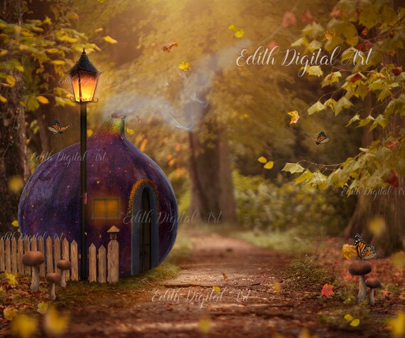 Enchanted Fairy Forest