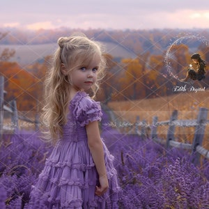 Fall Digital Backdrop Wildflower Field Path, Autumn Sunset Nature ...