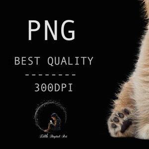 35 Photorealistic Animals Overlays, Transparent Pngs, Deer, Duck ...
