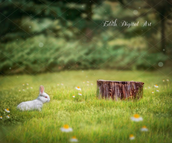 Easter Digital Backdrop Easter Photography Background Easter | Etsy