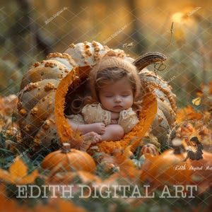 Newborn Digital Backdrop, Fall Pumpkin Harvest, Autumn Pumpkin Patch ...