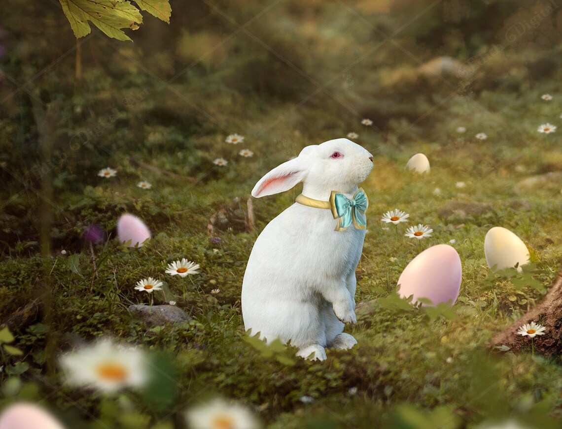 Spring Bunnies Easter Overlay 2 Easter Bunny PNG Photoshop - Etsy