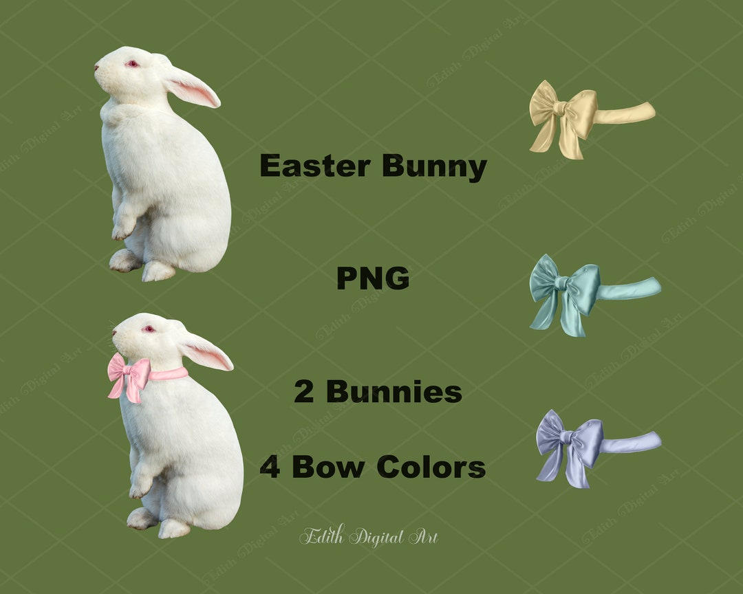 Spring Bunnies Easter Overlay, 2 Easter Bunny PNG Photoshop Composite ...