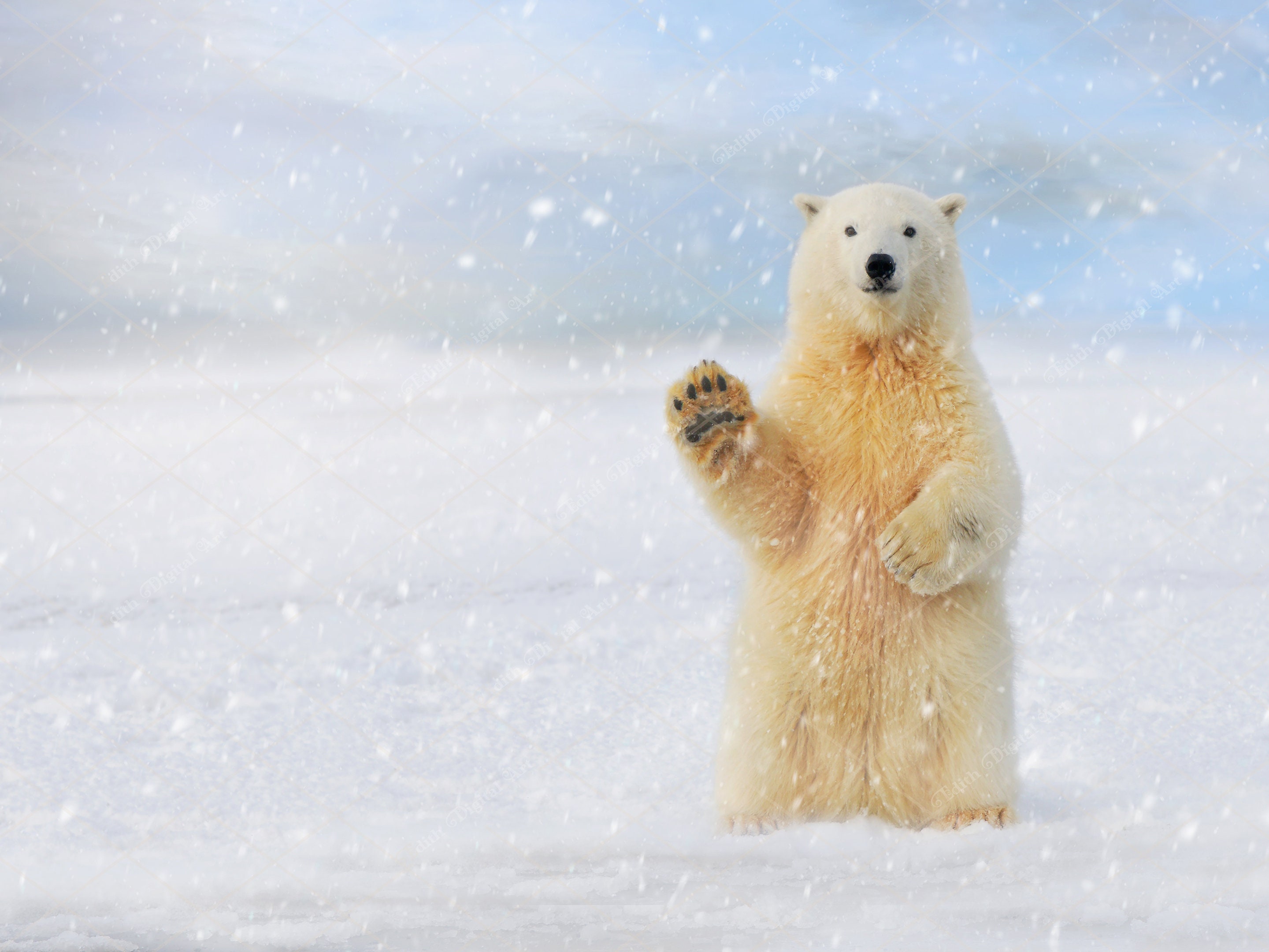 Polar Bear in Snow Backdrop Snowy Winter Scene Christmas | Etsy