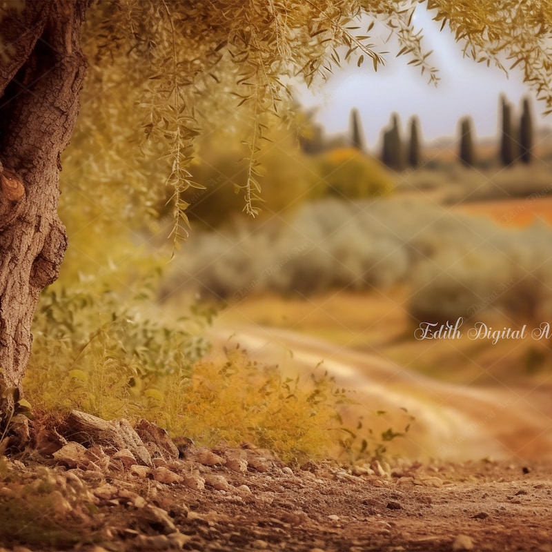Outdoor Photo Background - Etsy