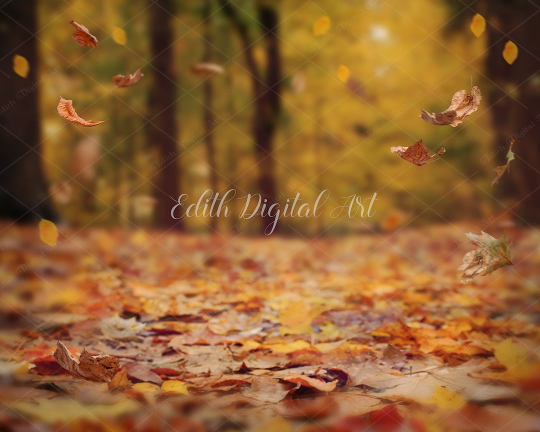 Fall Leaves Digital Background, Autumn Forest Backdrop Photography ...