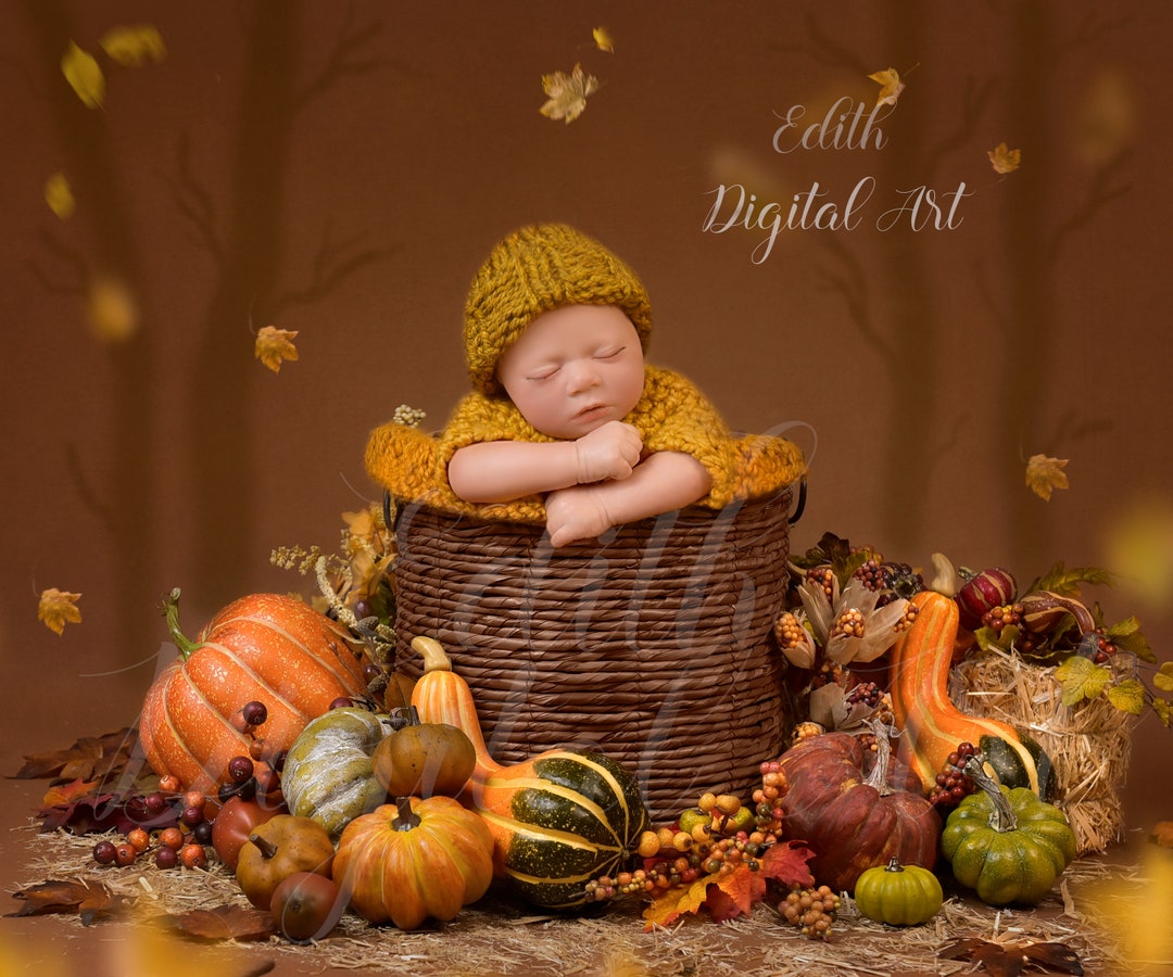 Newborn Digital Background, Autumn Backdrop Photography Composite, Fall ...