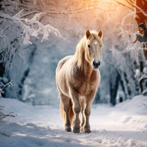 Winter Digital Backdrop Photography, Horse on Snowy Forest Background ...