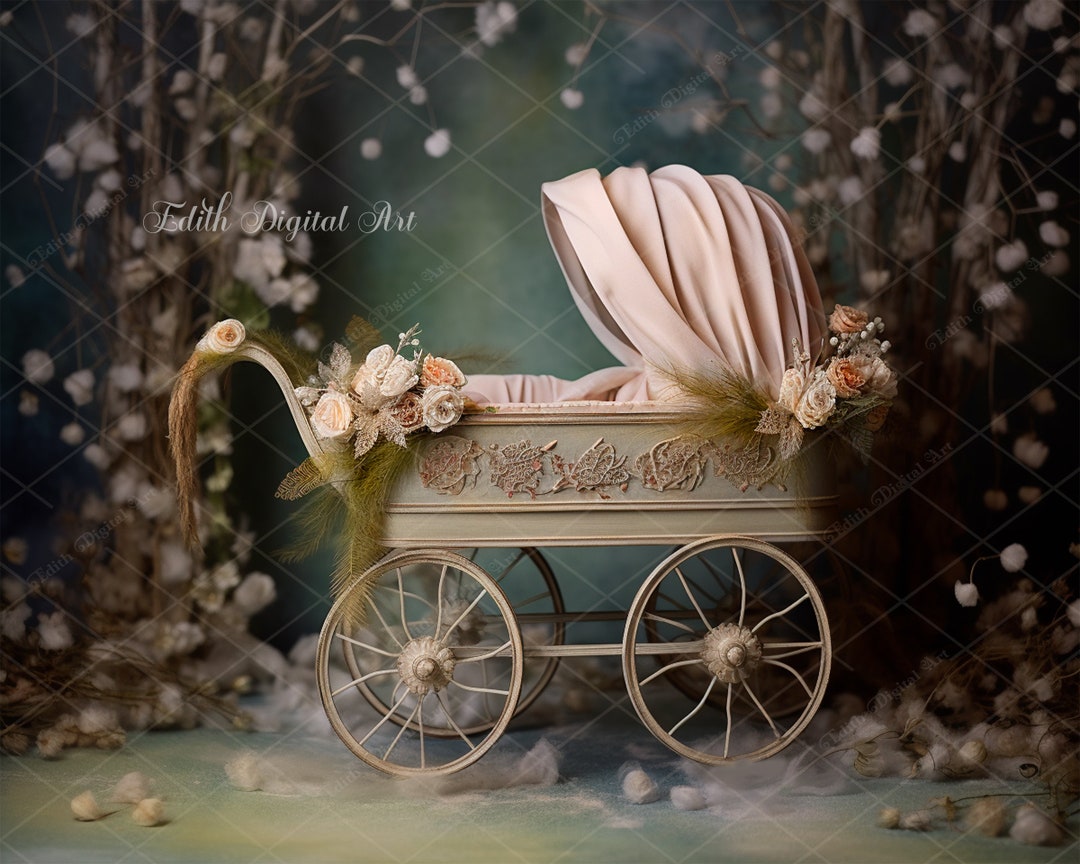 Newborn Carriage Digital Backdrop, Newborn Digital Background, Cotton ...