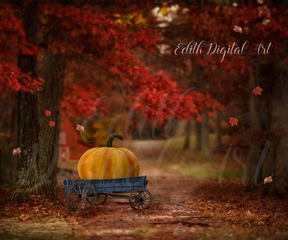 Fall Digital Backdrop Autumn Background Digital Photography | Etsy