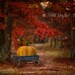 Fall Digital Backdrop, Autumn Background Digital Photography, Toddler ...