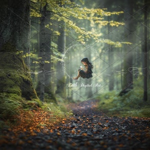 Nature Forest Digital Photography Backdrop, Summer Forest Path Digital ...