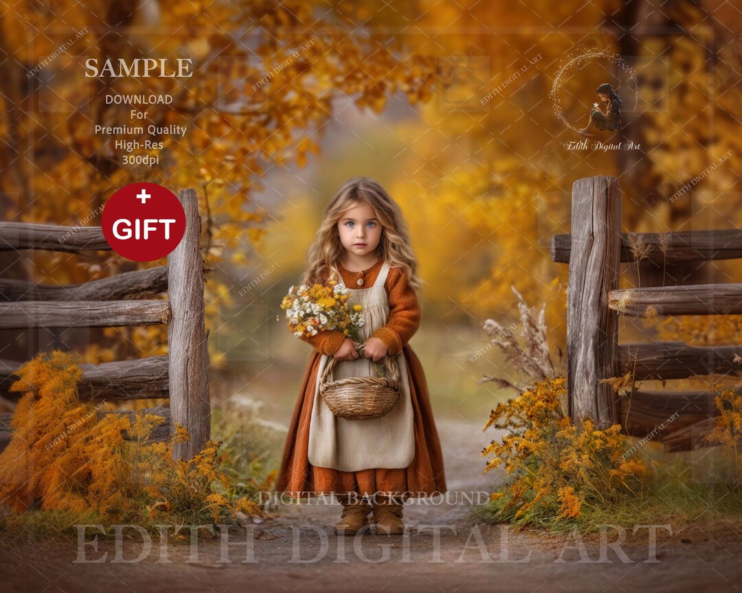 Fall Rustic Fence Digital Background Photography, Autumn Woodland Road ...