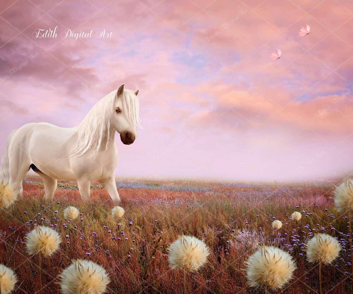Horse Digital Backdrop Spring Background Enchanted Fairytale - Etsy