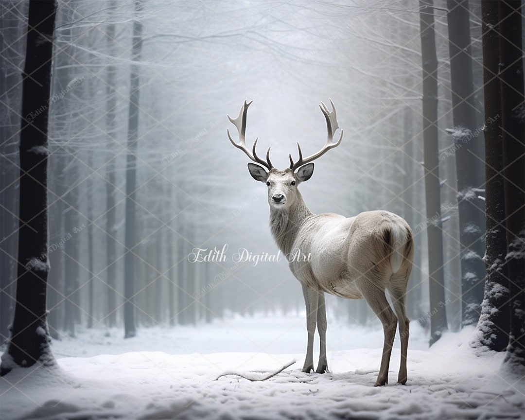 Winter Digital Backdrop Photography, White Deer on Enchanted Magical ...