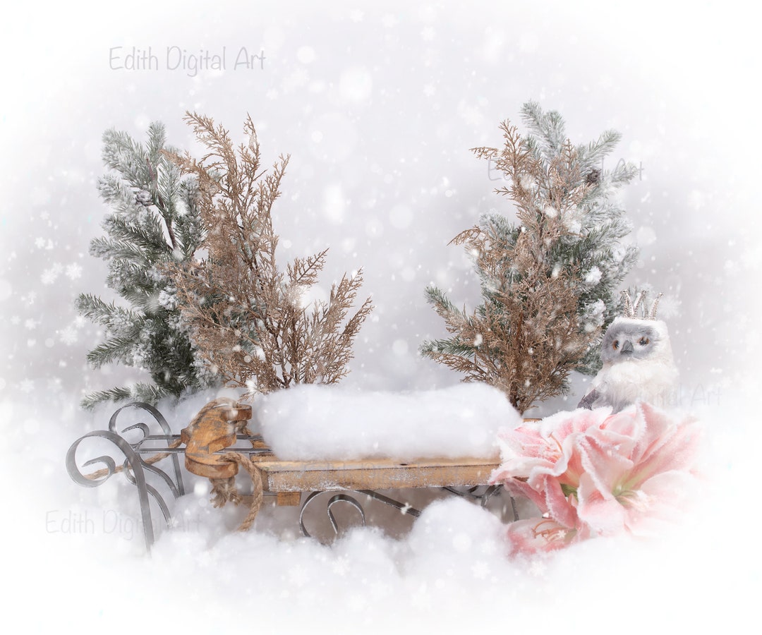 Newborn Digital Backdrop Christmas Snowy Sleigh for Background Baby ...