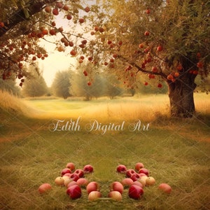 Apple Farm Tree Backdrop, Nature Field Background Photography, Summer ...