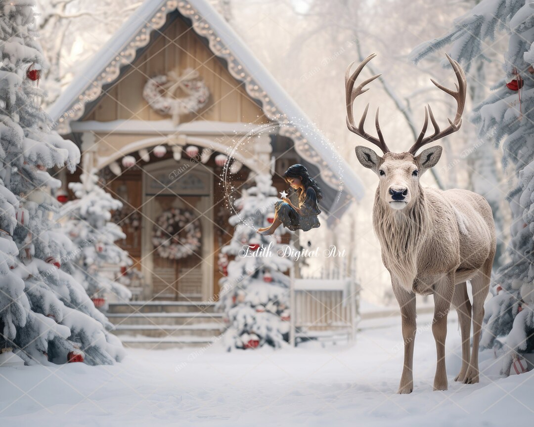 Christmas Digital Backdrop Photography, Reindeer Backdrop, Deer ...