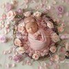 Goodnight Moon, Bedtime Story Newborn Photography Background, Digital ...